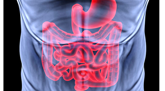 gastroenterology - Cascade Business News